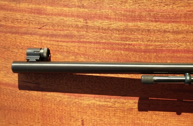 Peeps on REM 581 | Rimfire Central Firearm Forum
